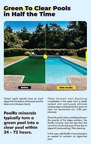 Pool RX 101066 6 Month Algaecide Treats 20k-30k gallons, Black