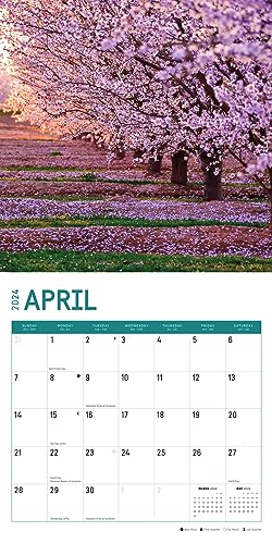 2024 Seasons Monthly Wall Calendar by Bright Day, 12 x 12 Inch Spring Summer Autumn Winter