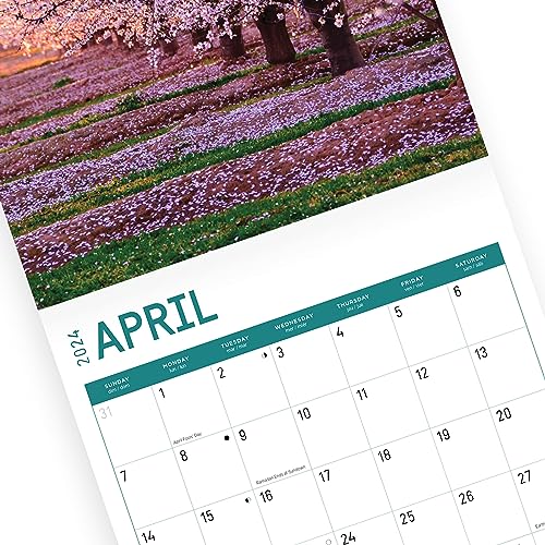 2024 Seasons Monthly Wall Calendar by Bright Day, 12 x 12 Inch Spring Summer Autumn Winter