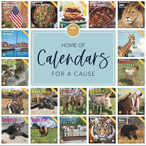 2024 Seasons Monthly Wall Calendar by Bright Day, 12 x 12 Inch Spring Summer Autumn Winter