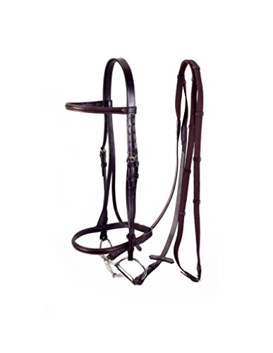 Silver Fox Raised Snaffle Bridle w/ Web Reins