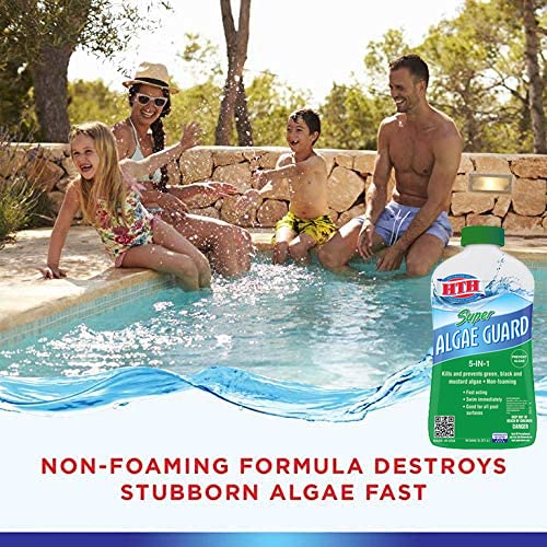 HTH 67032 Super Algae Guard Swimming Pool Algaecide Cleanser, 1 qt