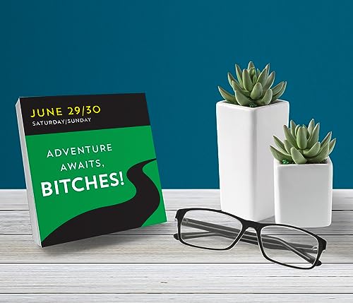 A F*cking 2024 Boxed Calendar: A Daily Dose of Zero F*cks (Funny Daily Desk Calendar, White Elephant Gag Gift for Adults)