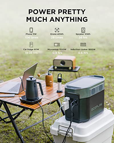 EF ECOFLOW Solar Generator DELTA 1260Wh with 160W Solar Panel, 6 X 1800W (3300W Surge) AC Outlets, Portable Power Station for Outdoors Camping RV High-Power Appliances Emergency