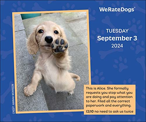WeRateDogs 2024 Day-to-Day Calendar