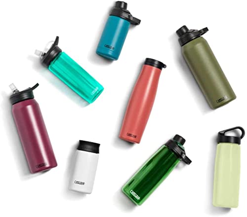 CamelBak Peak Fitness Chill Insulated Gym Water Bottle - Squeeze Bottle - 17oz, White/Silver
