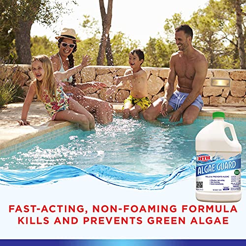 HTH 67045 Algae Guard 10 for Swimming Pools, 1 gal