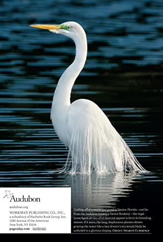 Audubon Engagement Calendar 2024: A Tribute to the Wilderness and Its Spectacular Landscapes