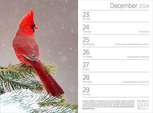 Audubon Engagement Calendar 2024: A Tribute to the Wilderness and Its Spectacular Landscapes