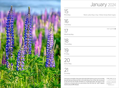 Audubon Engagement Calendar 2024: A Tribute to the Wilderness and Its Spectacular Landscapes