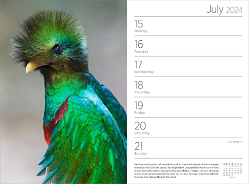 Audubon Engagement Calendar 2024: A Tribute to the Wilderness and Its Spectacular Landscapes
