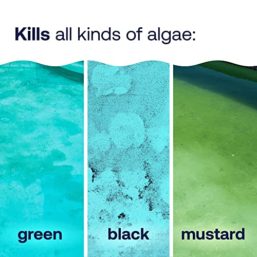 HTH Pool Care Algae Guard Advanced, Swimming Pool Chemical Kills & Prevents All Algae, Fast-Acting, 32 fl oz