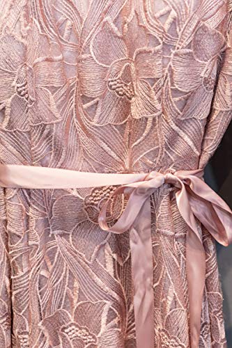Alex Evenings Women's Tea Length Embroidered Cocktail Dress with Illusion Sleeves, Wedding Guest, Rose, 8