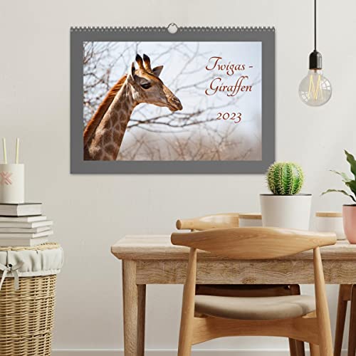 Twigas - Giraffen (Wandkalender 2023 DIN A3 quer), Calvendo 2023 monthly calendar