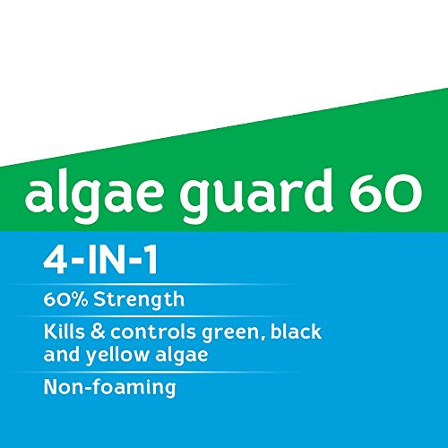 hth Pool Algaecide Super Algae Guard 60 (67064)