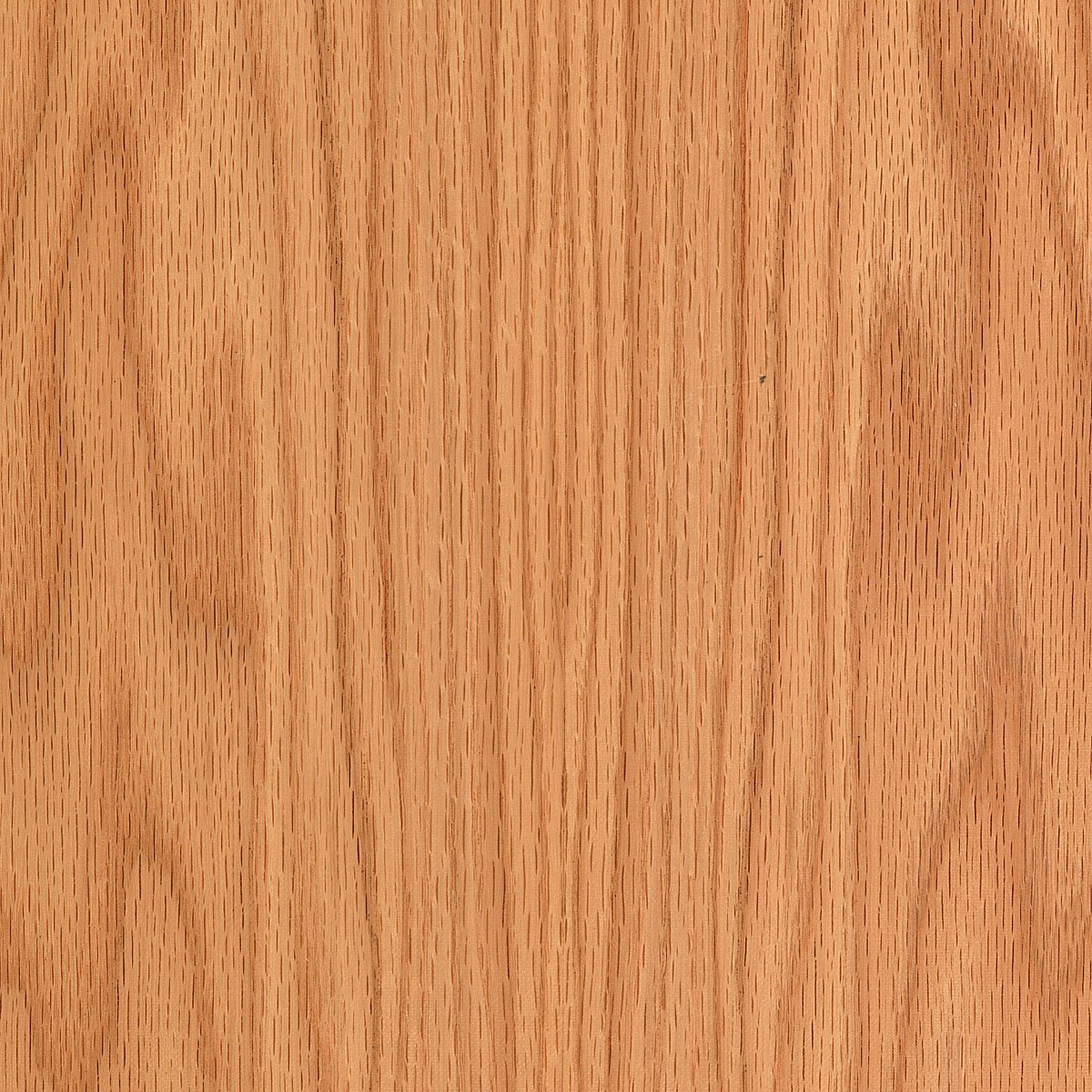 Wood-All Red Oak Wood Veneer Sheet, Plain Sliced/Flat Cut, 24x96, A Grade, 10 mil Paperback