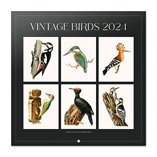 Wall Calendar 2024 12" x 12" FSC® Plastic Free - Starts Week On Sunday | Square Wall Calendar 2024 | Family Planner Calendar 2024 | 2024 Calendar (Birds 2024)