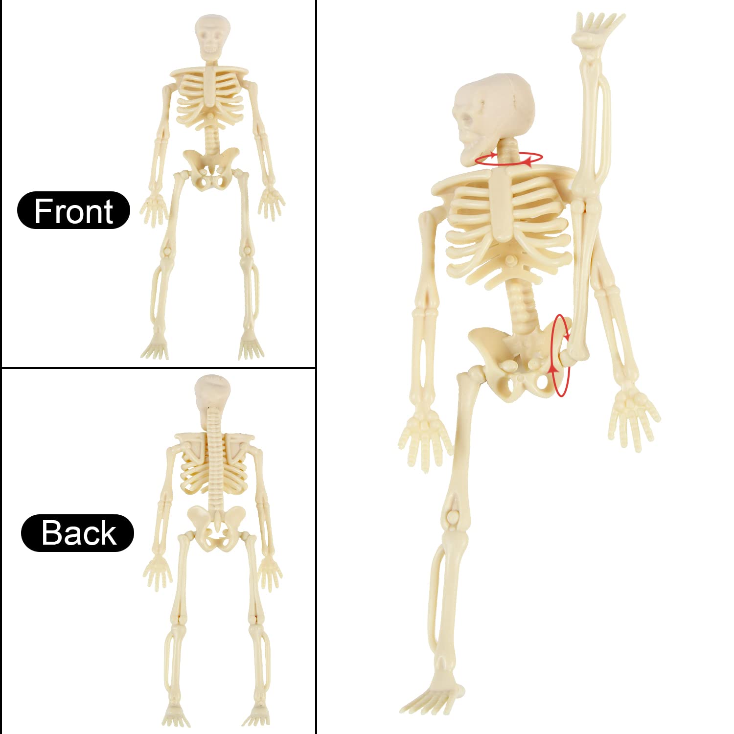 FINGOOO Mini Skeleton Figurines, 12Pcs 6 Inch Small Skeletons Halloween Decorations for Craft Haunted House Accessories Party Favors