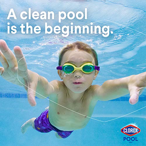 Clorox Pool&Spa 12004CLX Chlorine Stabilizer, 4 lb, 4lb