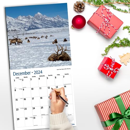 RED EMBER Untamed & Beautiful National Parks 2024 Wall Calendar 12 Month | 12" x 24" Open | Thick & Sturdy Paper | Giftable | Calendar 2024