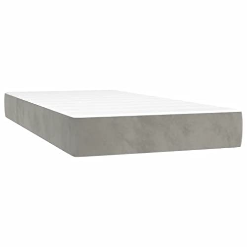 vidaXL Box Spring Bed with Mattress Home Bedroom Mattress Pad Single Bed Frame Base Foam Topper Furniture Light Gray 39.4"x74.8" Twin Velvet