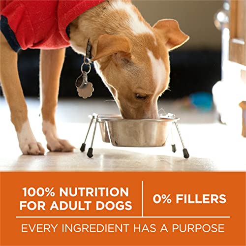 Purina ONE Plus Healthy Weight High-Protein Dog Food Dry Formula - 31.1 lb. Bag