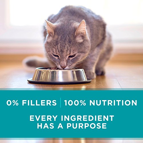 Purina ONE Natural, High Protein Wet Cat Food Variety Pack, True Instinct Turkey, Chicken & Tuna Recipes - (2 Packs of 12) 3 oz. Cans