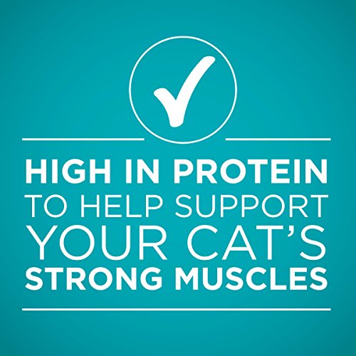 Purina ONE Natural, High Protein Wet Cat Food Variety Pack, True Instinct Turkey, Chicken & Tuna Recipes - (2 Packs of 12) 3 oz. Cans