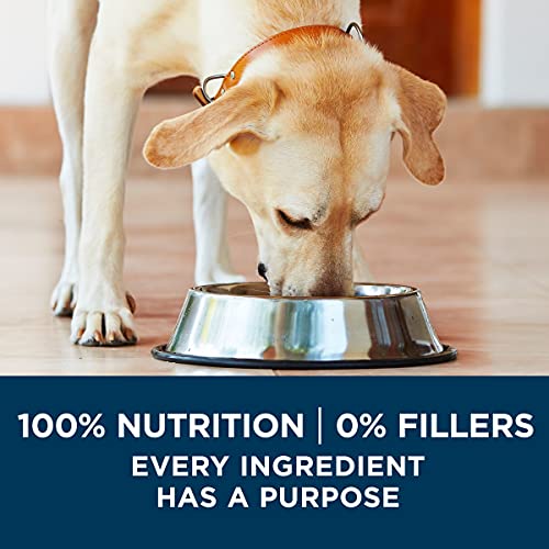 Purina ONE Plus Large Breed Adult Dog Food Dry Formula - 31.1 lb. Bag
