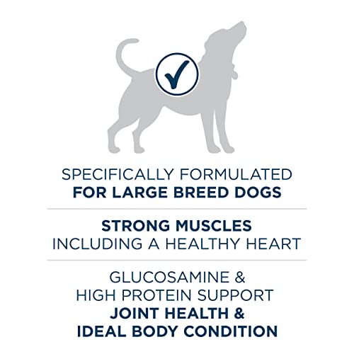 Purina ONE Plus Large Breed Adult Dog Food Dry Formula - 31.1 lb. Bag