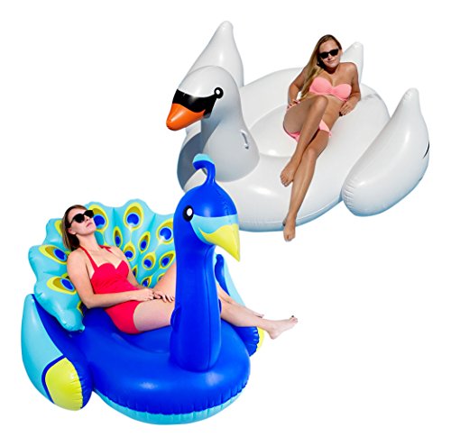 Swimline Peacock & White Swan for Swimming Pools