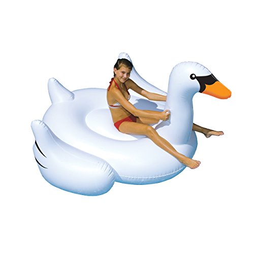 Swimline Peacock & White Swan for Swimming Pools