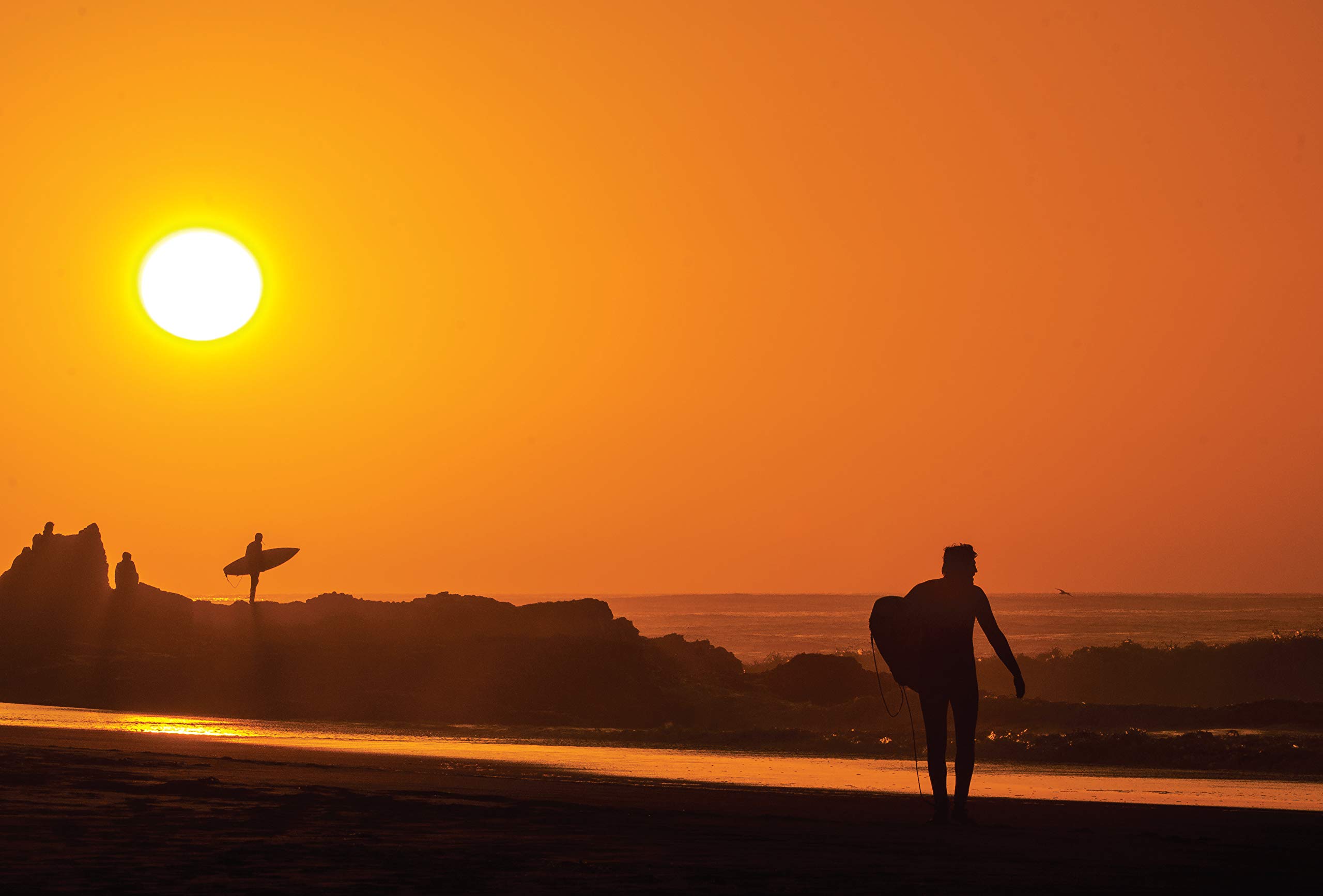 Distant Shores: Surfing the Ends of the Earth