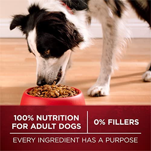 Purina ONE High Protein, Natural Dry Dog Food, True Instinct With Real Turkey & Venison - (4) 3.8 lb. Bags
