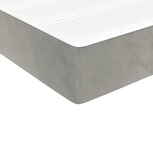 vidaXL Box Spring Bed with Mattress Home Bedroom Mattress Pad Single Bed Frame Base Foam Topper Furniture Light Gray 39.4"x79.9" Twin XL Velvet