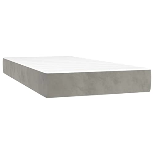 vidaXL Box Spring Bed with Mattress Home Bedroom Mattress Pad Single Bed Frame Base Foam Topper Furniture Light Gray 39.4"x79.9" Twin XL Velvet