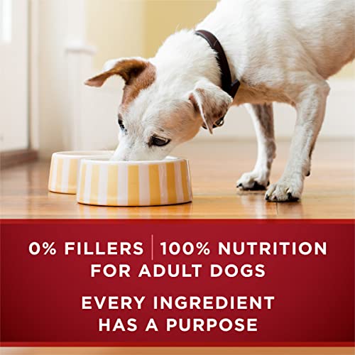 Purina ONE True Instinct Tender Cuts in Gravy With Real Turkey and Venison, and With Real Chicken and Duck High Protein Wet Dog Food Variety Pack - (12) 13 oz. Cans