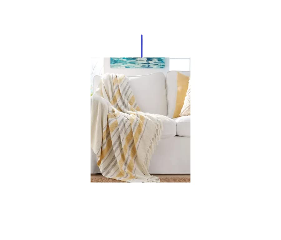 Member's Mark Woven Cotton Throw with Tassels (Spice Gray Stripe, 60'' x 70'')