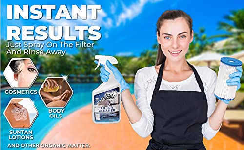 Black Diamond Stoneworks Ultimate Spa Filter Cleaner Fast-Acting Spray for Hot Tub & Pool Filters 1-Gallon and Ultimate SPA and Pool Natural Enzyme Water Clarifier Treatment 1-Quart.