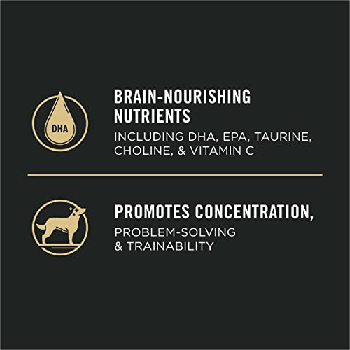 NEW! Purina Pro Plan Puppy Development - High Protein Dry Dog Food - Chicken & Rice