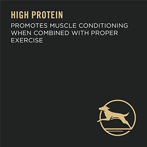 Purina Pro Plan High Protein, Digestive Health Large Breed Dry Dog Food, Chicken and Rice Formula - 34 lb. Bag