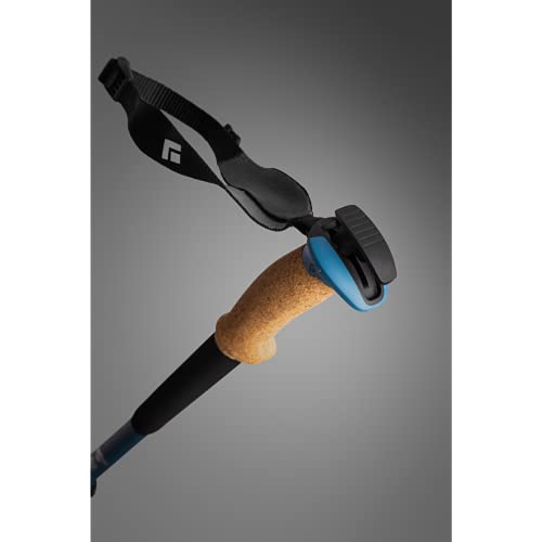 Black Diamond Alpine Carbon Cork Whippet-Ready Trek Poles, Astral Blue