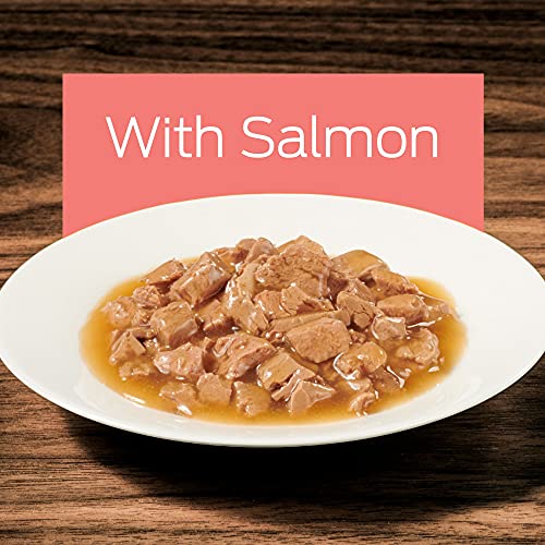 Purina Pro Plan Veterinary Diets OM Overweight Management Savory Selects, Salmon Feline Formula Wet Cat Food, 5.5 oz., Case 24, 24 X 5.5 OZ