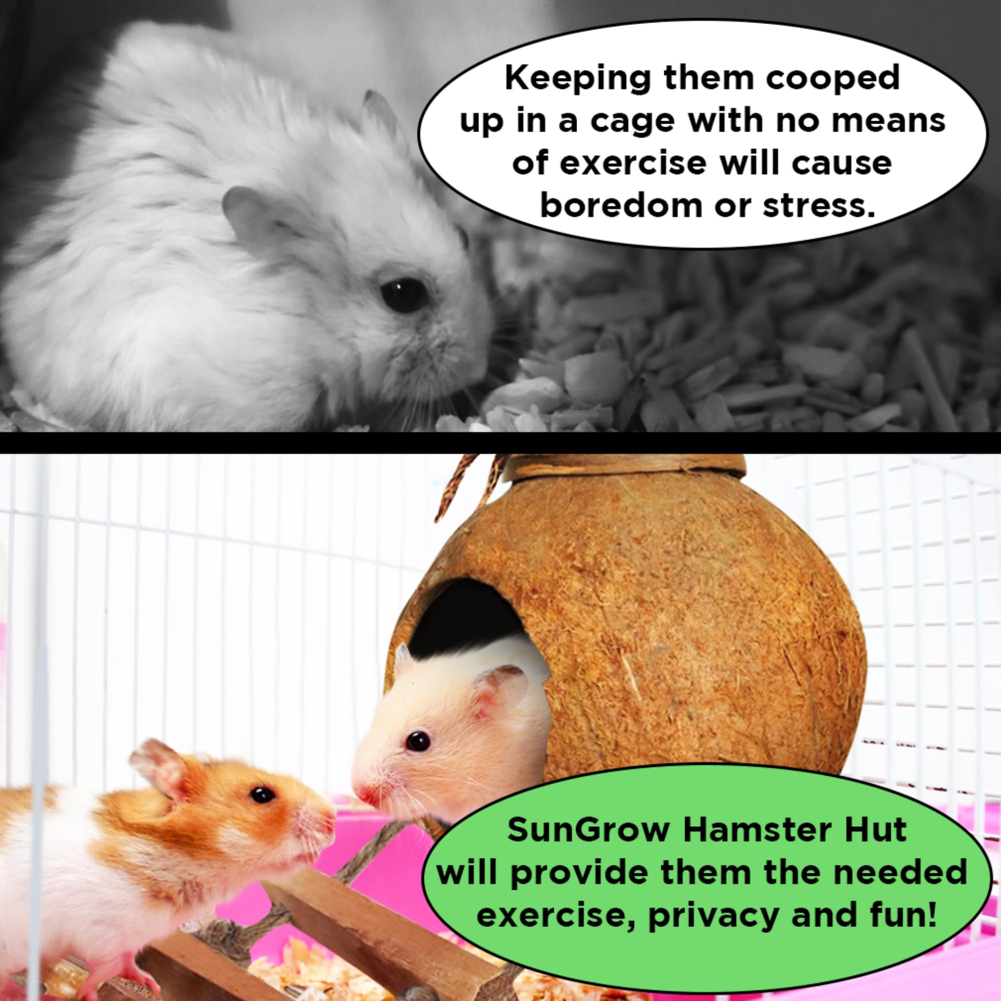 SunGrow Coconut Hamster House with Ladder with Opening Hole, Nesting Home and Feeder with Hanging Loop