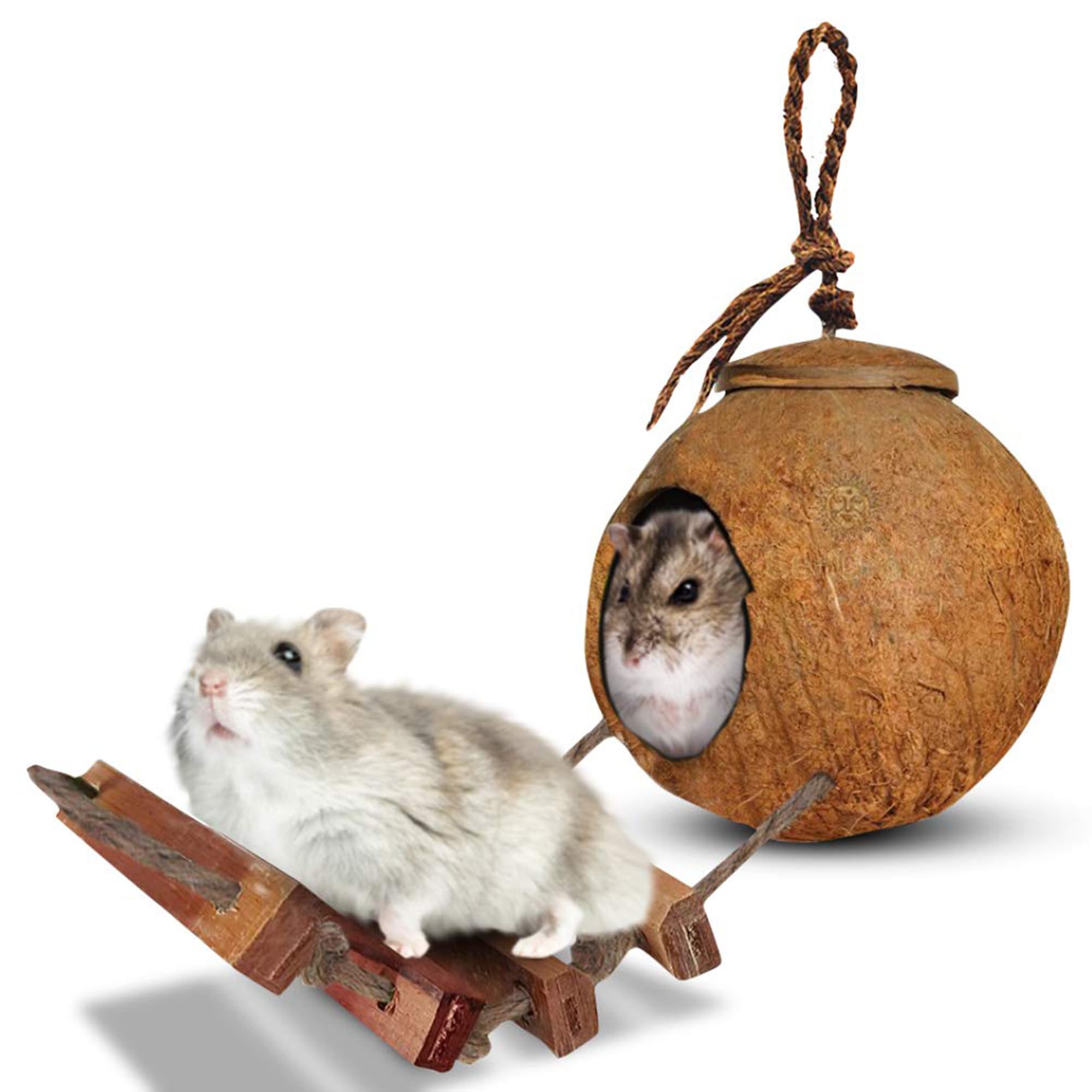 SunGrow Coconut Hamster House with Ladder with Opening Hole, Nesting Home and Feeder with Hanging Loop