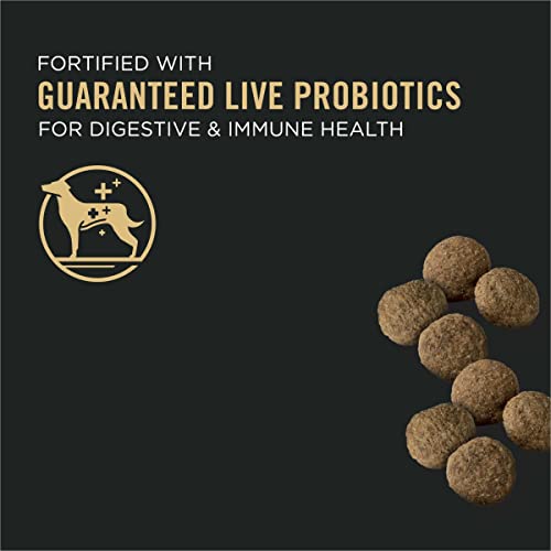 Purina Pro Plan Sensitive Stomach and Stomach Large Breed Dog Food, Salmon Formula - 35 lb. Bag