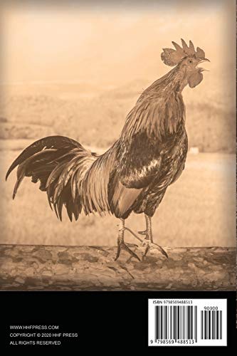 All About Cock: A Cookbook For Lovers of All Variations of Cock (Parody Cookbooks)