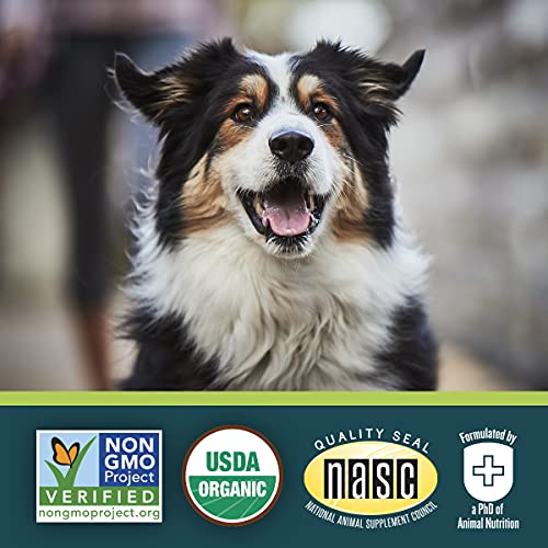 EverRoot Organic Dog Supplement by Purina, Digestion Chewable Tablet with Pumpkin for Dogs - 4.23 oz. Canister