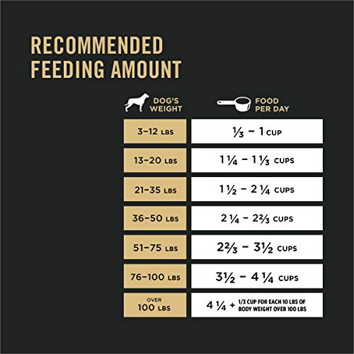 Purina Pro Plan High Protein Dog Food with Probiotics for Dogs, Shredded Blend Turkey & Rice Formula - 5 lb. Bag