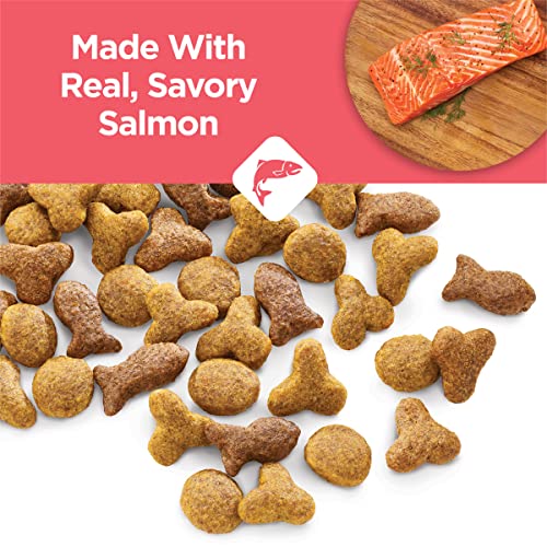 Cat Chow Complete High Protein with Salmon Cat Food Dry Formula - (4 Packs of 4) 3.15 lb. Bags